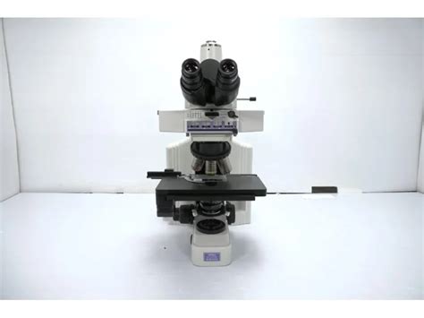 Nikon E600 Upright Fluorescence Phase Contrast Motorized Microscope