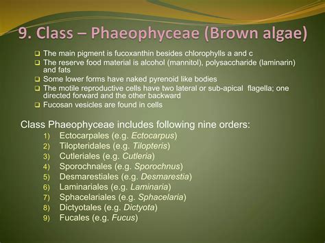 Classification Of Algae Pdf