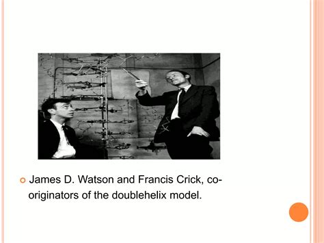 Dna Strcture And Function Pptx