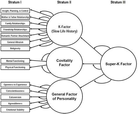 The Hierarchically Organized Latent Structure Of Life History Traits Download Scientific Diagram