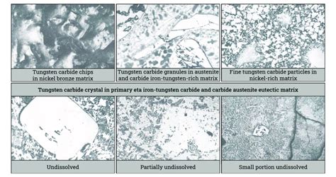 Different Microstructures That Can Be Formed During Tungsten Download Scientific Diagram