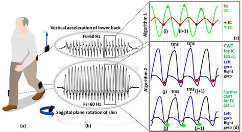 Data Processing A Sensor Placement B Raw Acceleration And Download Scientific Diagram