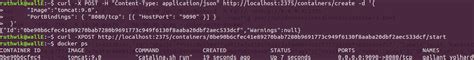 Docker Remote Api