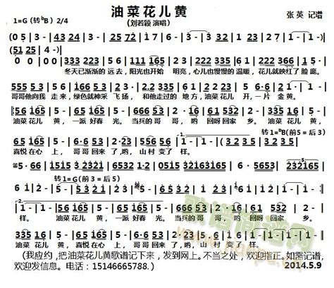 油菜花儿黄 刘若颖 歌谱简谱网