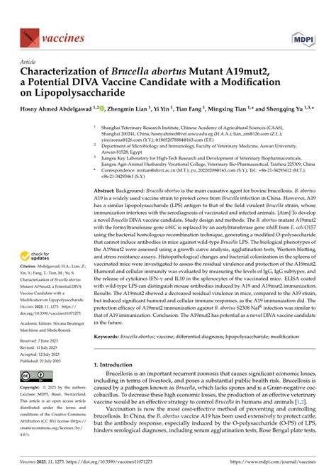 Pdf Characterization Of Brucella Abortus Mutant A19mut2 A Potential Diva Vaccine Candidate