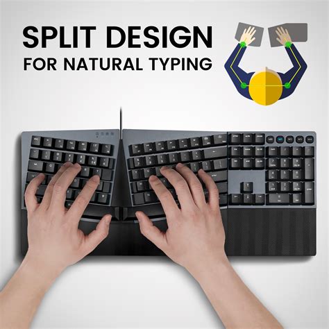 The Px Ergo Mech Series Of Hybrid Keyboards For Both Work And Gaming Is Now Available From