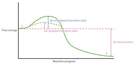 Enzyme Kinetics Concise Medical Knowledge