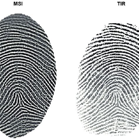 Pdf Multispectral Fingerprint Image Acquisition