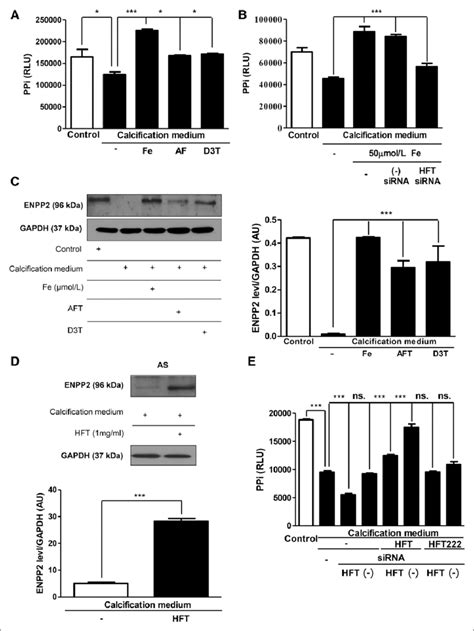 Pyrophosphate Ppi Generation And Enpp Ectonucleotide Download Scientific Diagram