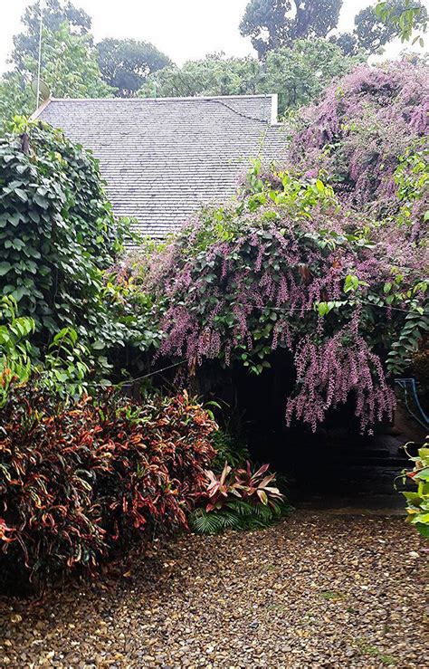 บ้านมังคุด บ้า บ้านป่าริมธารโฮมสเตย์ ทุ่งเพล จันทบุรี