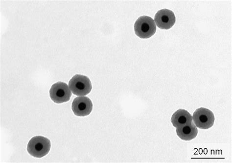 Complex Compound Nanoparticles Core Shell Silica Nanoparticles