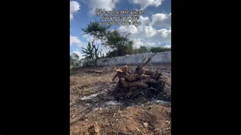 ပြင်ဦးလွင်မြို့ အောင်ချမ်းသာရွာ ရှားပါးလနကျပြီး 100 ပေ ၄၀x၆၀ သိန်း ၆၅၀ သိန်း၈၀၀ Youtube