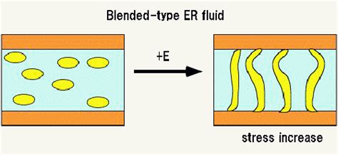 Er Reseearch Sugimoto Laboratory Yamagata University