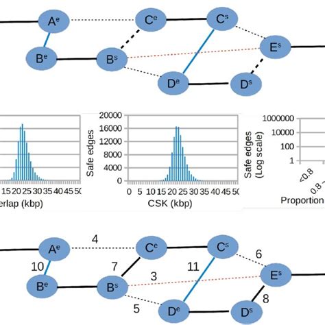 Layout Algorithm A Safe Edges Blue Are Selected As Reciprocal Best