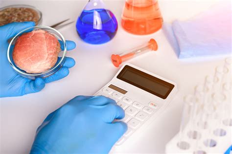 합성 육류 생산 실험실에서 적합성을 확인하기 위해 제품을 확인합니다 인공 고기는 미래의 음식입니다 시험 관 고기 Dna에 대한