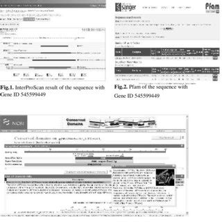 Conserved Domain On Gene ID Download Scientific Diagram