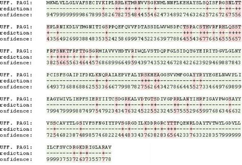 Rna Binding Sites Of Buffalo Pag 1 Denotes Binding Residues And