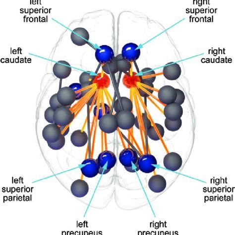 Summary Of Processing Pipeline Bet Brain Extraction Tool Csd Download Scientific Diagram