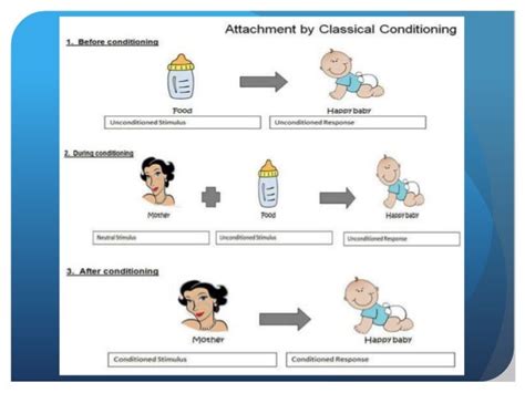 Classical Conditioning