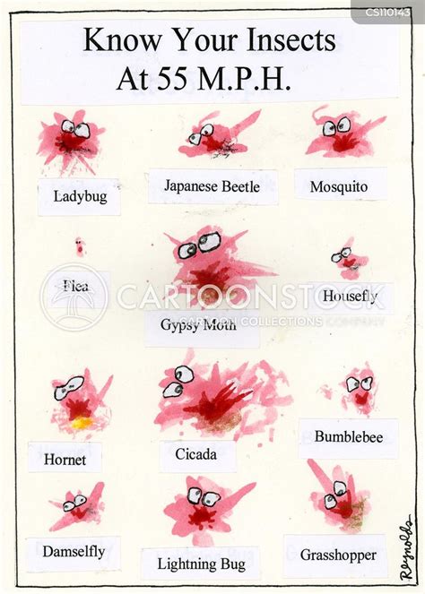 Windshield Cartoons And Comics Funny Pictures From Cartoonstock