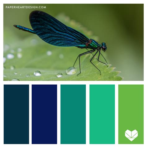 Color Palette Insect Inspiration Paper Heart Design