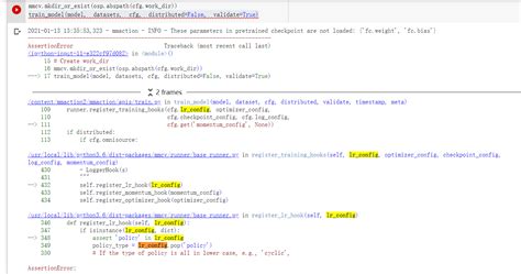 Error Occurs At `assert Policy In Lrconfig` When I Am Training My Custom Model With Tsm