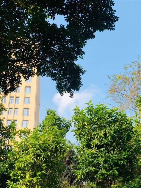 天气 跌至0℃以下！重庆即将开启“冷上加冷”模式！