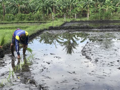 Guiltless Getaways How To Make Vermicast Simple Vermicomposting Tips Itik Pinas Housing And