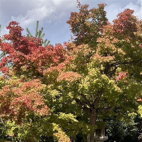 Eum Lens Existential Universe Mapper Framework And Tools On Linkedin Eum Framework