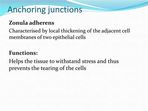 Anchoring Junctions Examples At Oscar Corey Blog