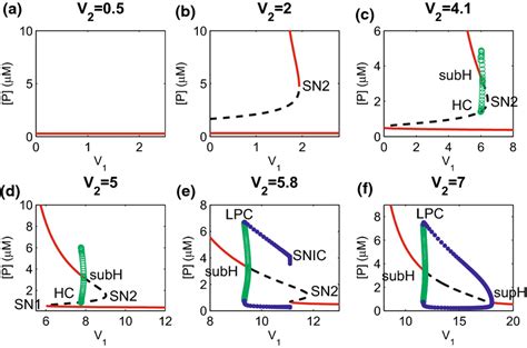 Bifurcation Diagrams Of P Versus V1documentclass 12pt Minimal Download Scientific Diagram