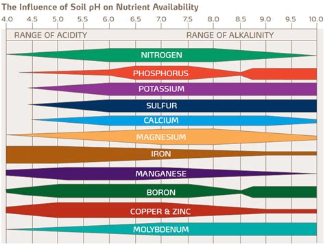 Paul Munns Blog Maintenance Category Soil PH What Is It And Why Is It Important