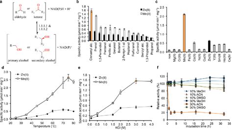 Activity Of Adhd1 A Reaction Scheme For Adhs B Specific Activity