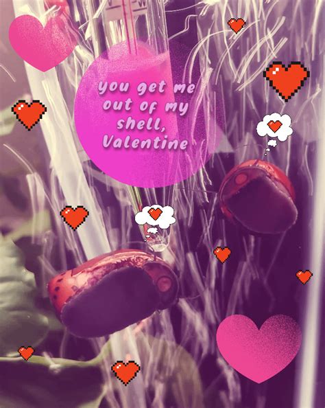 Happy Valentines Day R Freshwatersnails