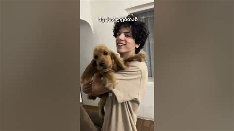 ძაღლი 🐕 Desihumor Funny Humoristefrancais Joke Humor Doublagefrancais Funnyjoke Memes