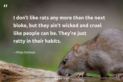 23 Rat Quotes About The Misunderstood Rodents