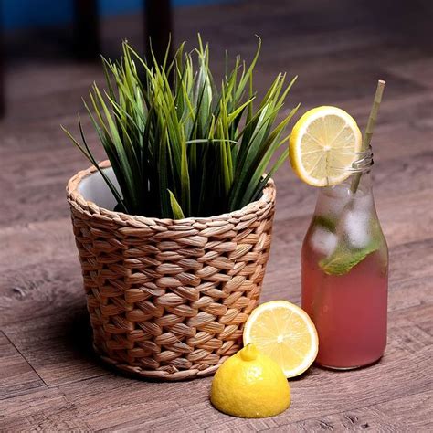 100 Organic Premium Herbal Straws Friendly Natural Disposable Drinking Straws A Sustainable