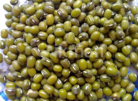 මුං ඇට For Sale In Medirigiriya Ikman