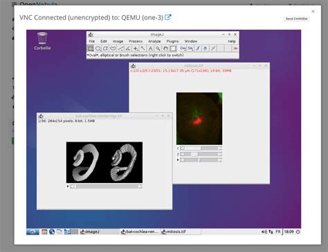 2 An Example Of A Cumulus Session The Imagej Application Is Running