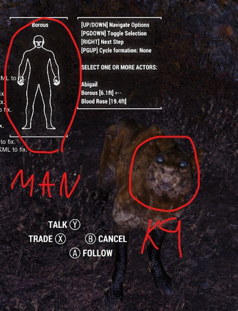 Aaf For Beginners Step By Step Outdated Page 24 Advanced