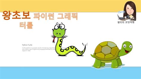 샐리의 코딩 여행 파이썬 그래픽 터틀 코딩 01 Python Graphic Turtle Coding Youtube
