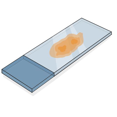 Compare Ffpe To Clarity And Tru3d Clearlight Biotechnologies