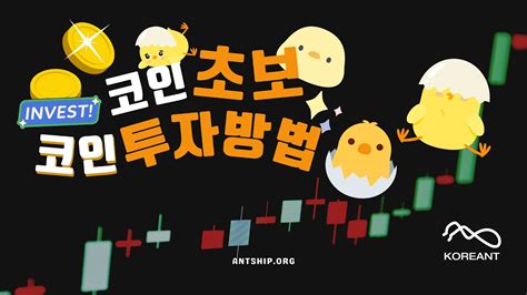 코인초보 투자방법코린이편 코인투자 코인추천 코인종목 코인상담 Youtube