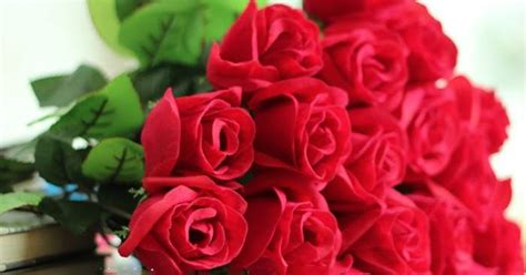 დედა მთავარი