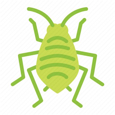 Bedbug Insect Aphid Pest Bug Icon Download On Iconfinder Bedbug Insect Aphid Pest Bug Icon Download On Iconfinder
