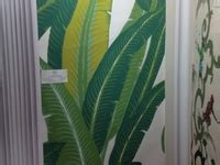 Discover 180 Wallpaper And Beverly Hills Banana Leaf Wallpaper Ideas