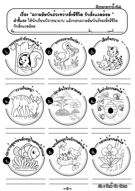 วิทย์ ปอ ปลาย วิทย์ ปอ ปลาย Added A New Photo