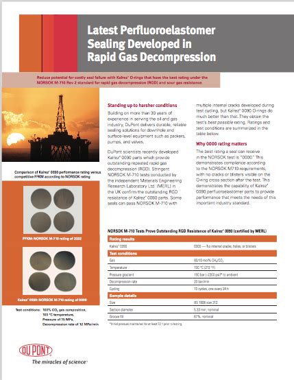 Rapid Gas Decompression Ed Fluid Seals