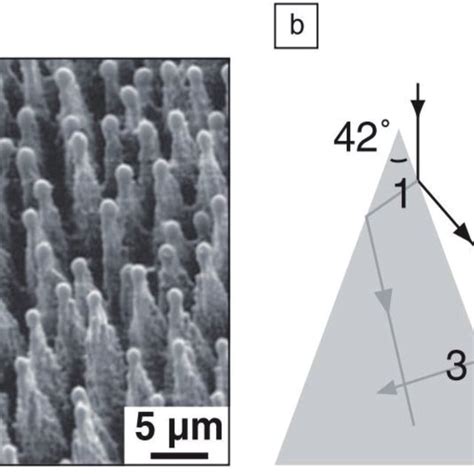 Pulsed Laser Hyper Doping And Surface Texturing Cambridge 2001 Ref