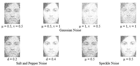 Images Corrupted With Various Noise Download Scientific Diagram